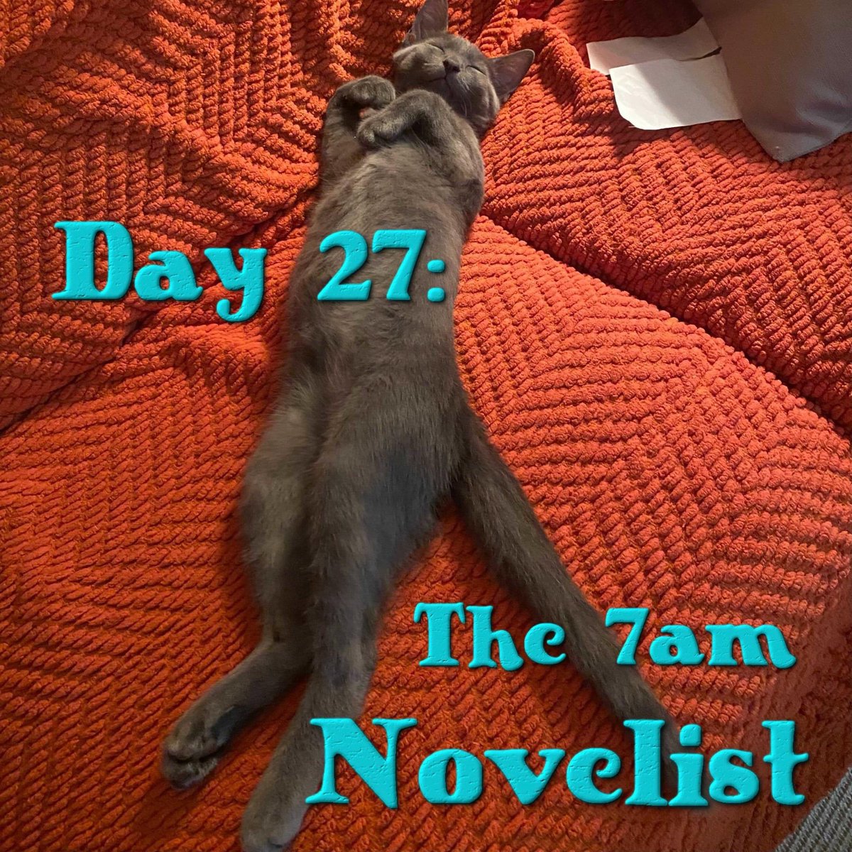 rise-and-shine-with-the-7am-novelist